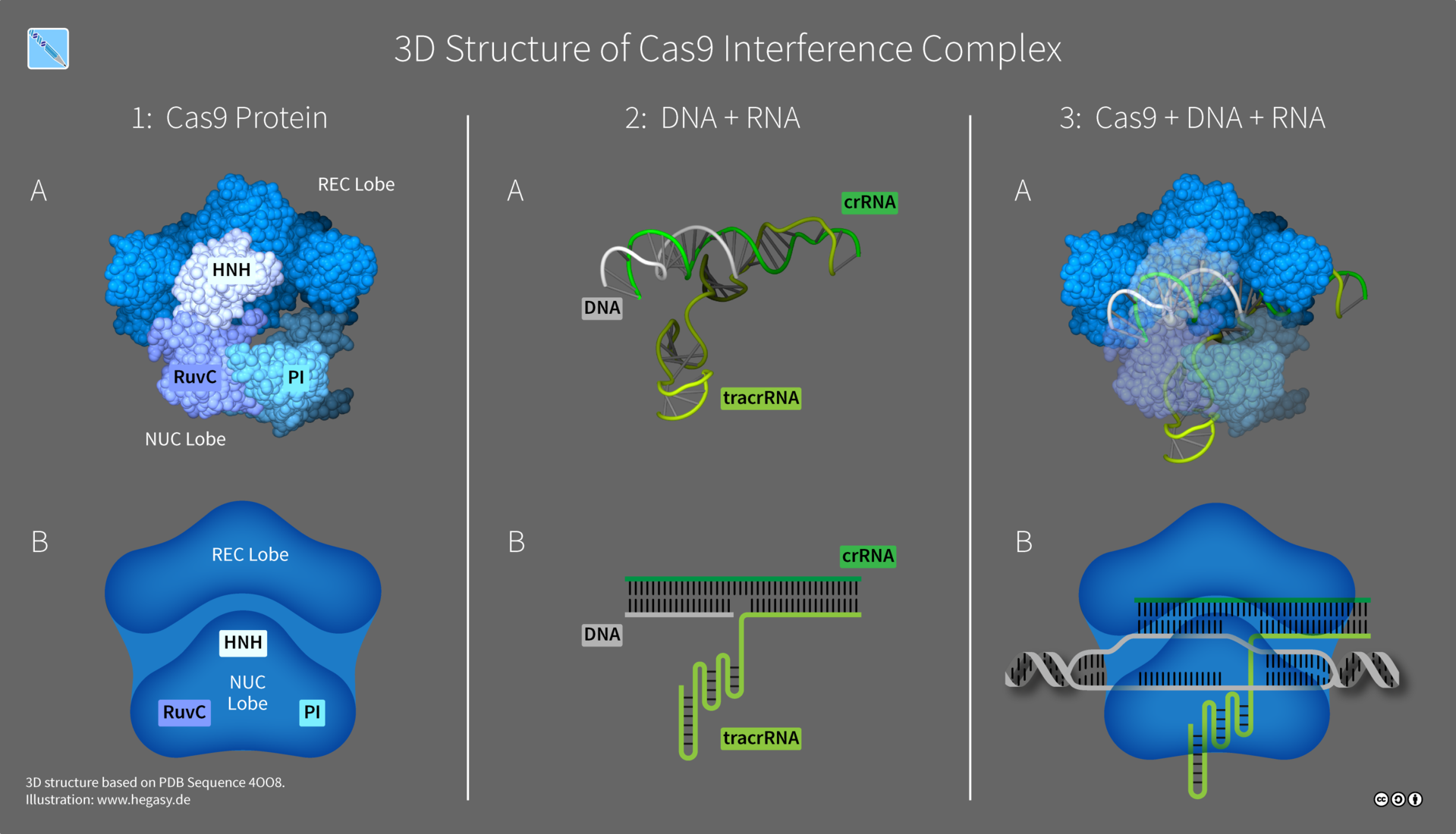BİOFELSEFE — CRISPR
