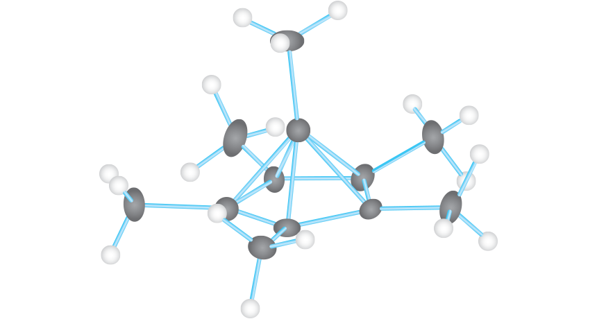 BİOFELSEFE — KARBON