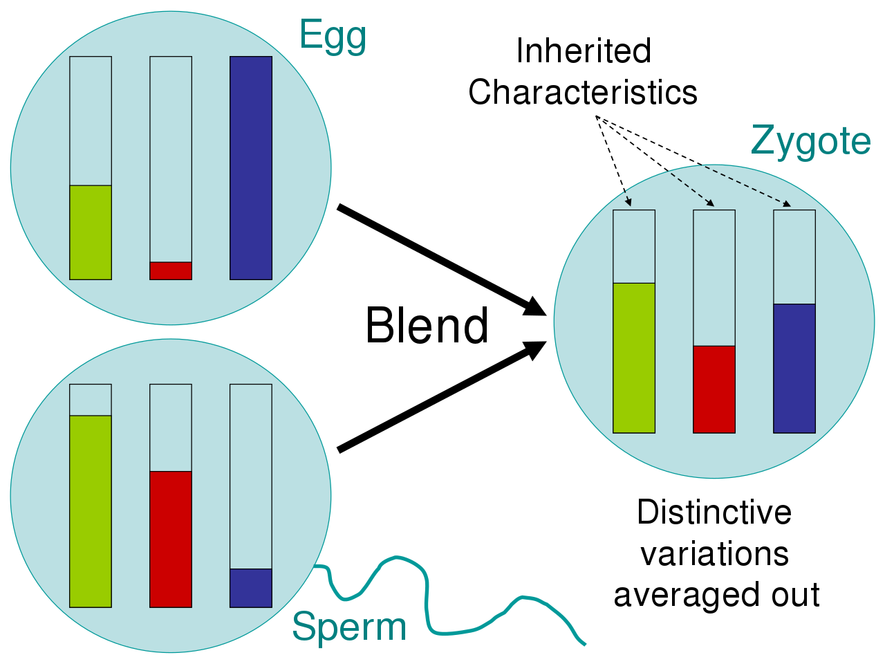 Benefits Of Blending Genetics at William Fellows blog